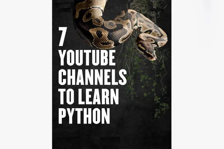 7 Youtube Channels To Learn Python - Freepik Downloader